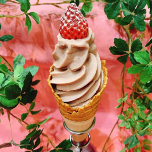 有機茶寮bySOLVIVA なんば | SOLVIVA